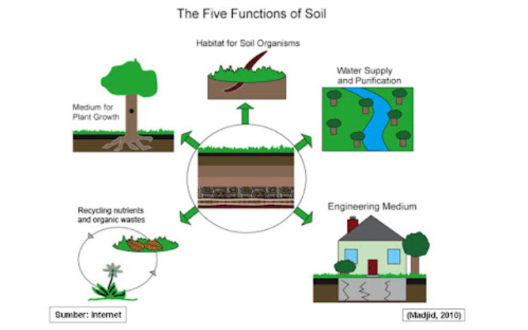 peran tanah bagi kehidupan - Dirga Satya